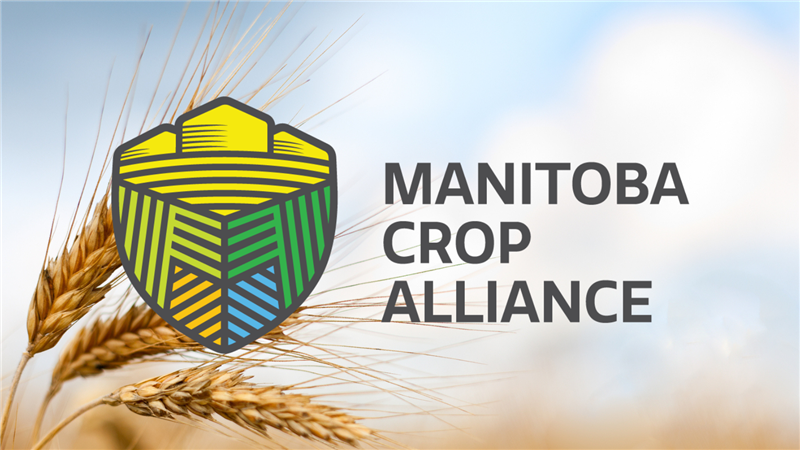 What's New | AITC-MB